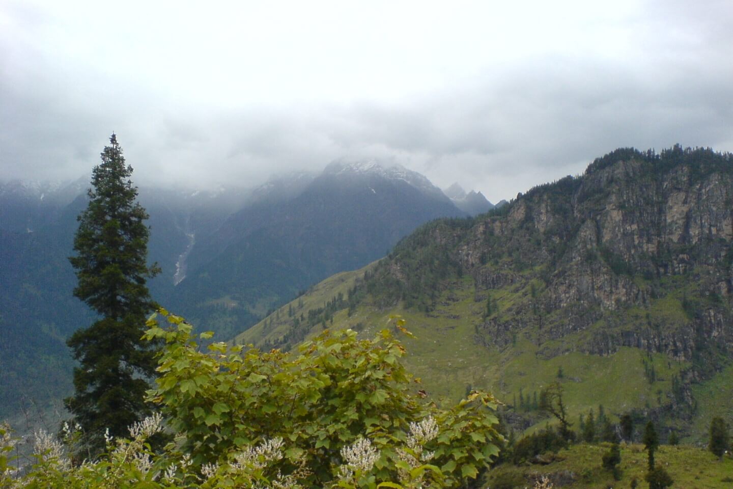 Gulaba View Point Manali (Timings, Entry Fee, Images, Best time to ...