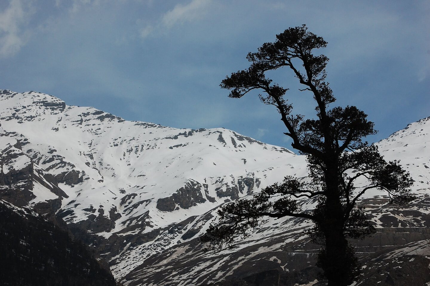 Gulaba View Point Manali (Timings, Entry Fee, Images, Best time to ...