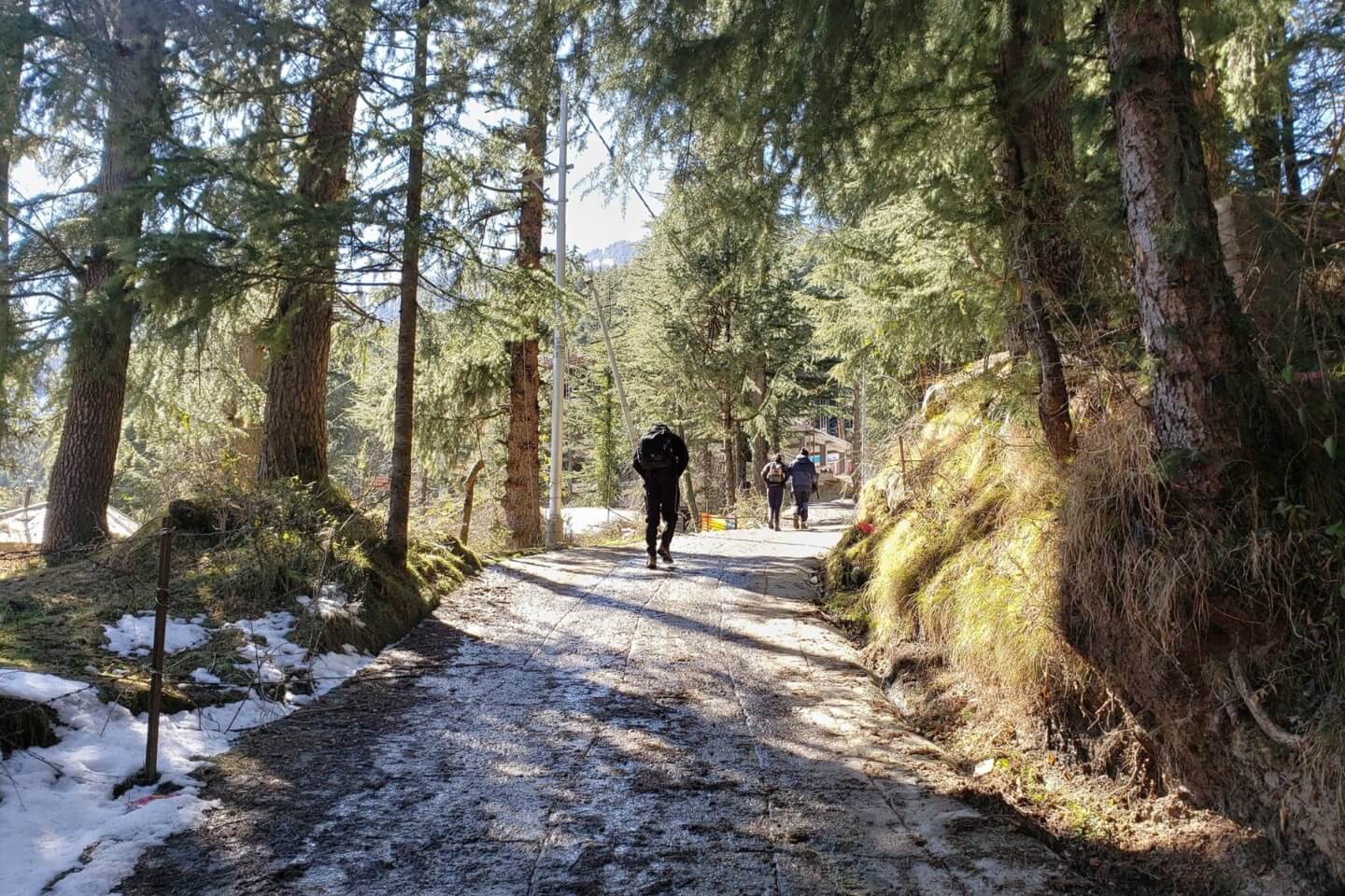 Lion King Rock Manali (Timings, Entry Fee, Images, Best time to visit ...