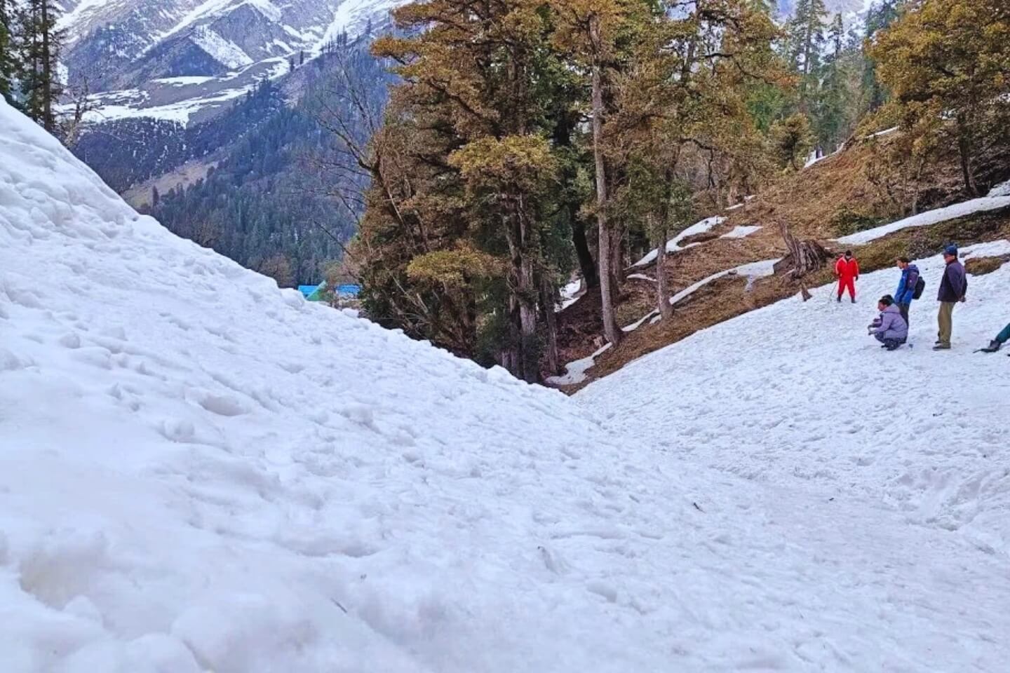 Old Manali Snow Point (Timings, Entry Fee, Images, Best time to visit ...
