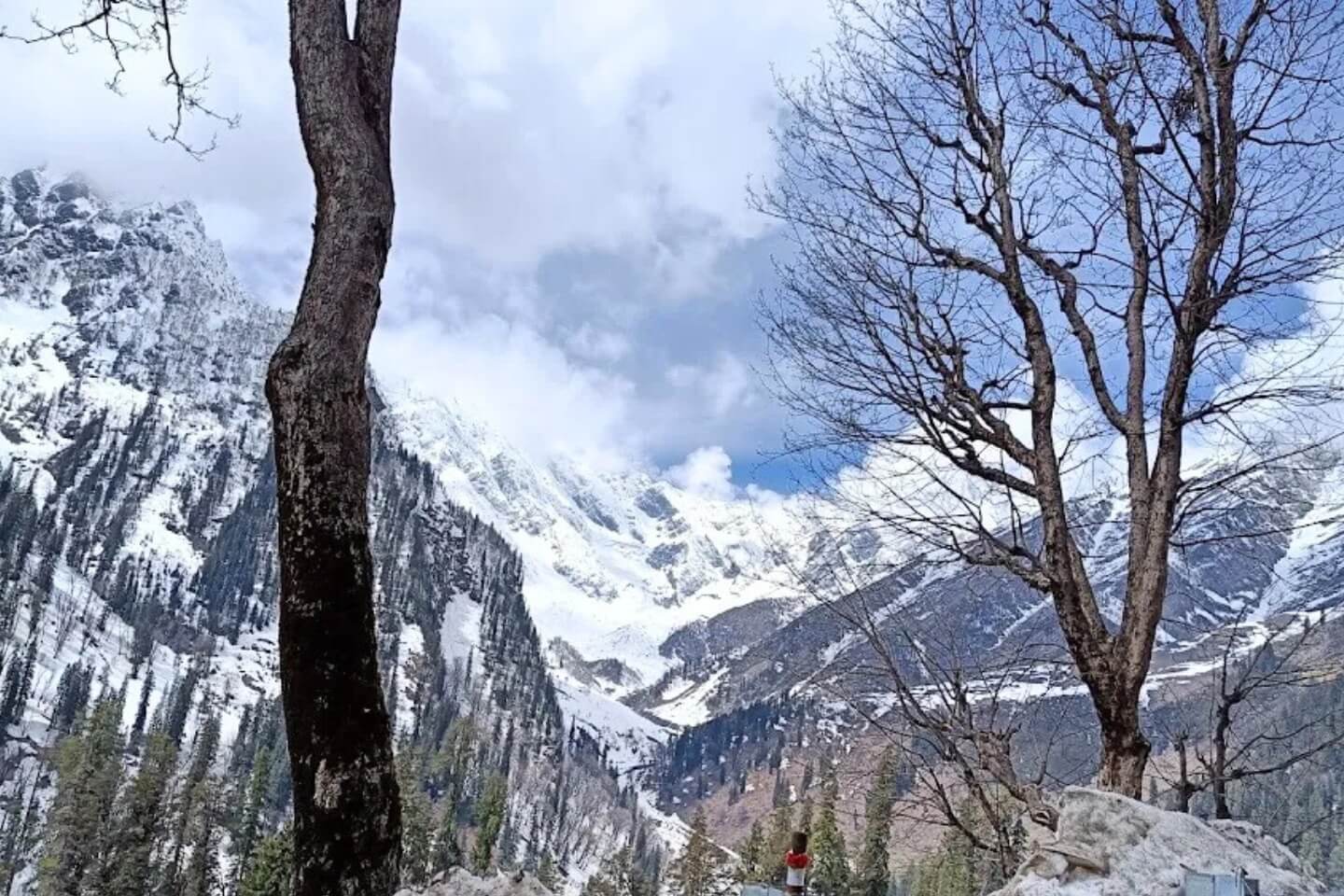 Old Manali Snow Point (Timings, Entry Fee, Images, Best time to visit ...